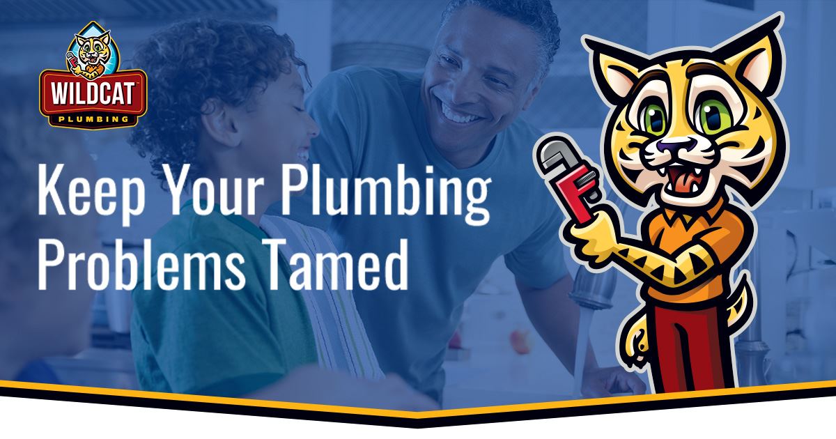 Plumbing Fixture Repair in Weymouth, MA | Wildcat Plumbing